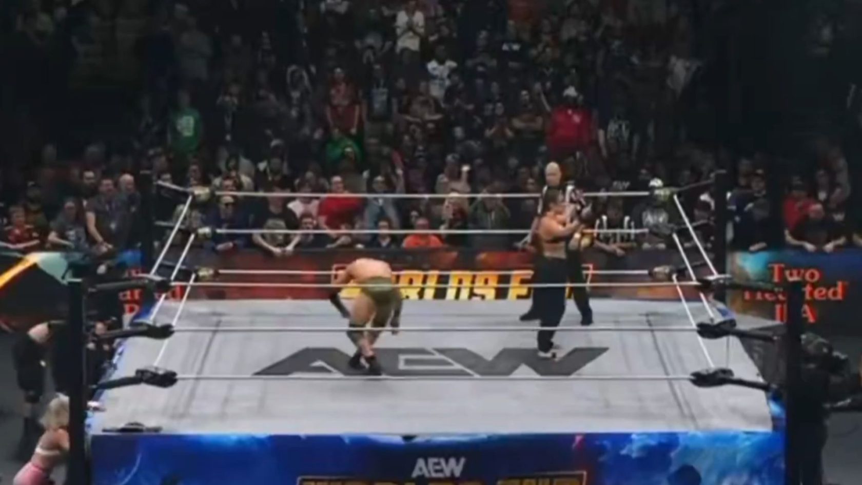 AEW Star Unforgivingly Attacks Her Husband At Worlds End