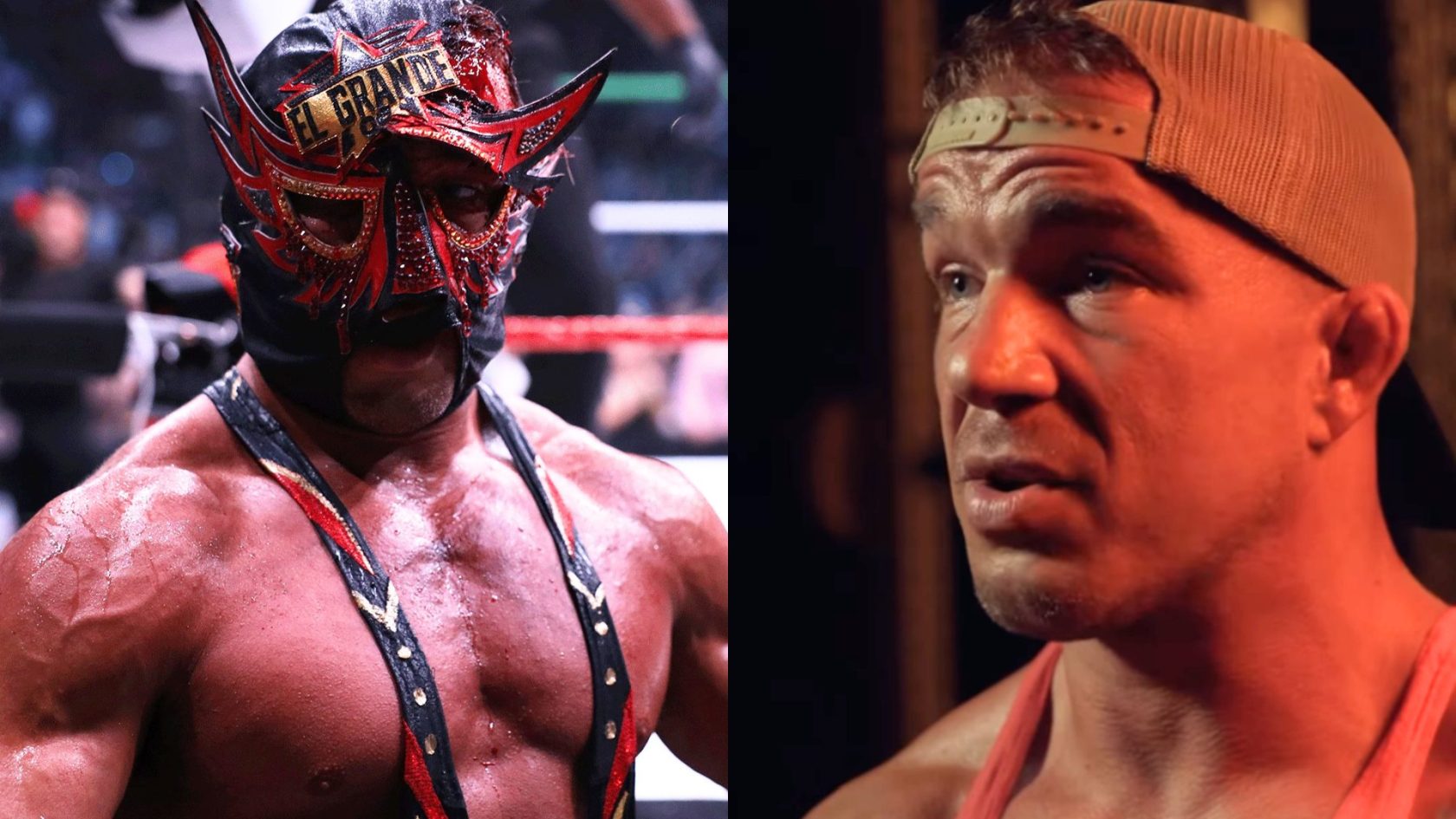 Spot That Caused Logan Paul's Serious Injury, Another WWE Star Blamed