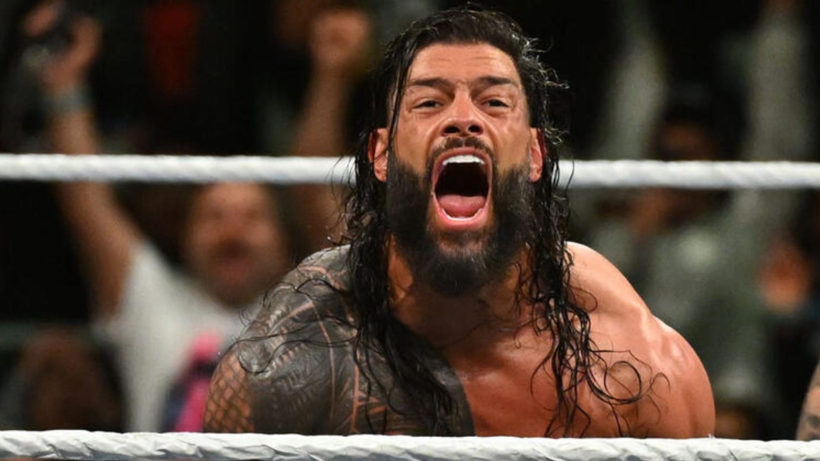 ITR Wrestling News Digest: 23 WWE Stars Released, Ex-Champion Returns ...
